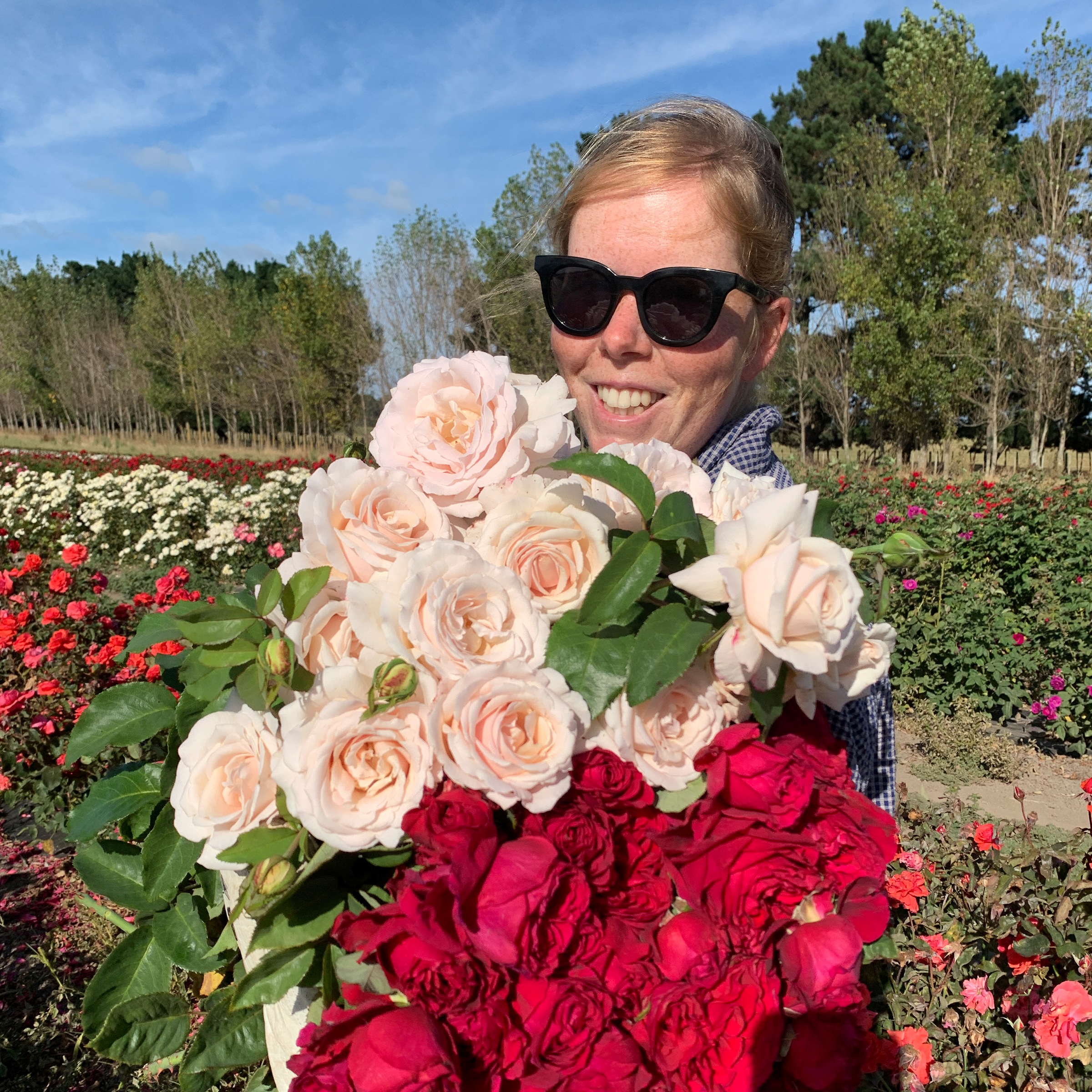 Growing Gorgeous Roses | Taranaki Garden Festival
